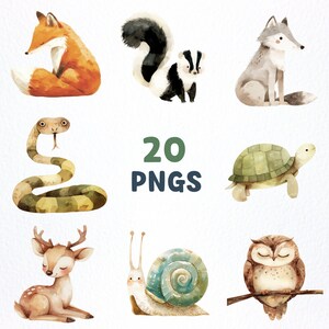 Watercolor Woodland Animal Clipart Bundle 20 High-quality Pngs Bear ...