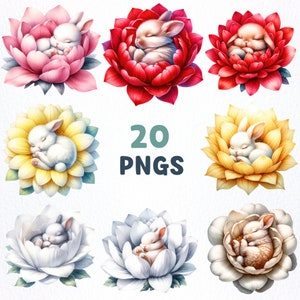 Watercolor Bunny With Flower Clipart Bundle | 20 High-quality Pngs ...