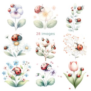 Ladybugs With Flowers Watercolor Clipart Set, Cute Ladybug and Flowers ...