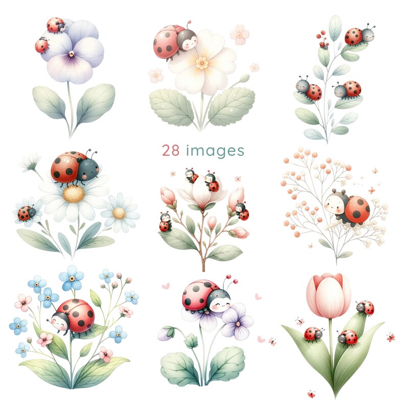 Ladybugs With Flowers Watercolor Clipart Set, Cute Ladybug and Flowers ...