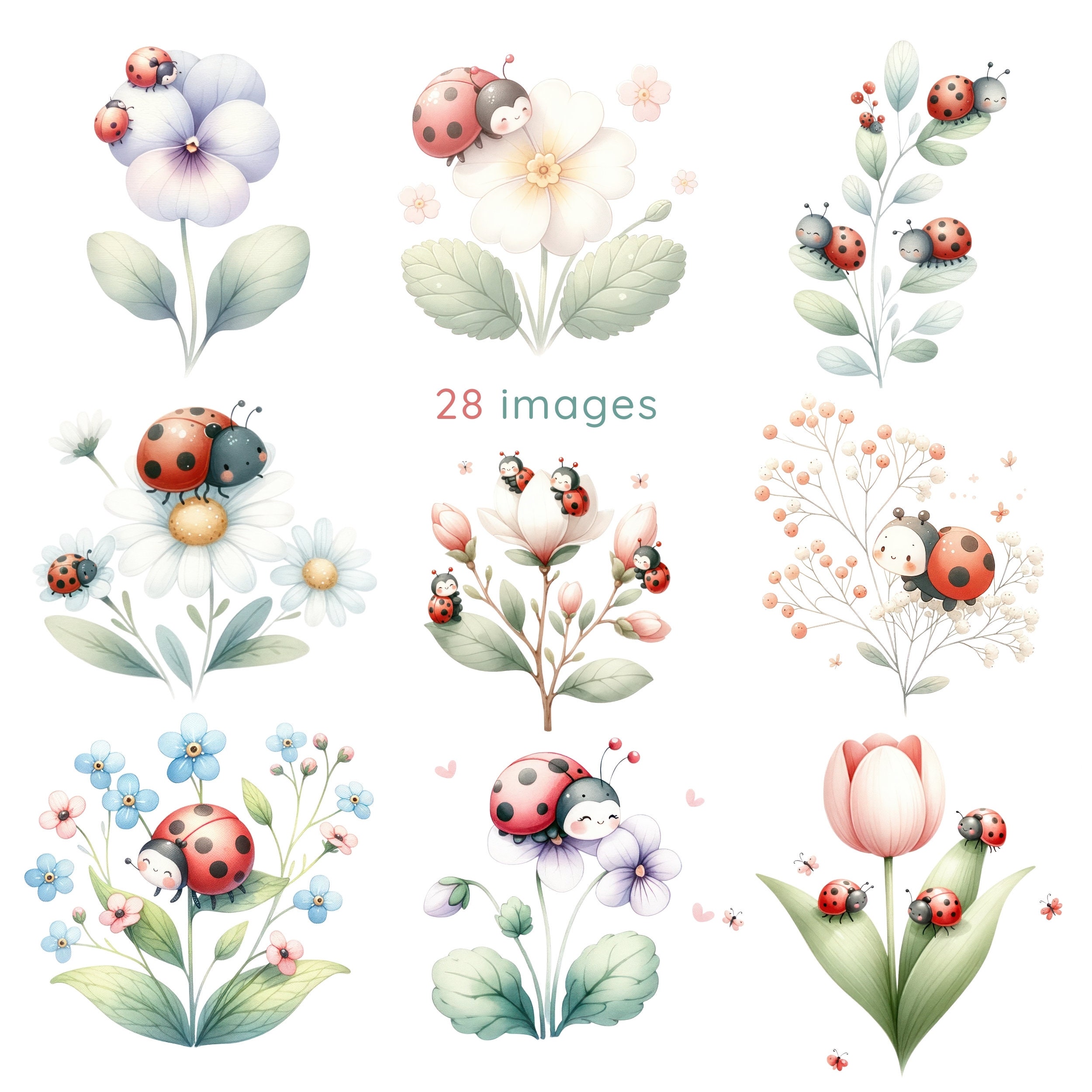 Ladybugs With Flowers Watercolor Clipart Set, Cute Ladybug and Flowers ...