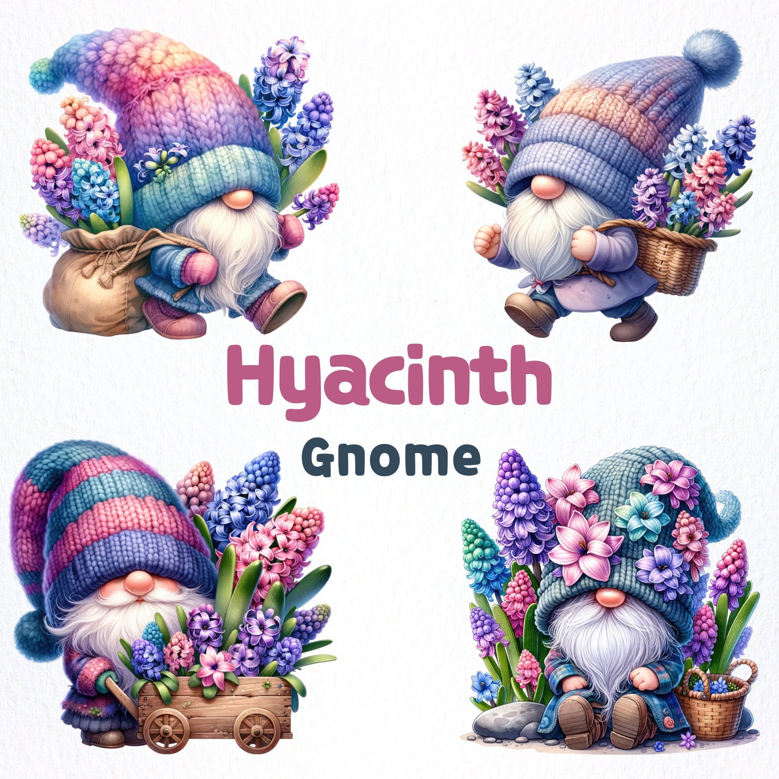 Watercolor Hyacinth Gnome Clipart Bundle 20 High-quality Pngs Flower Gnome Clipart, Hyacinth ...