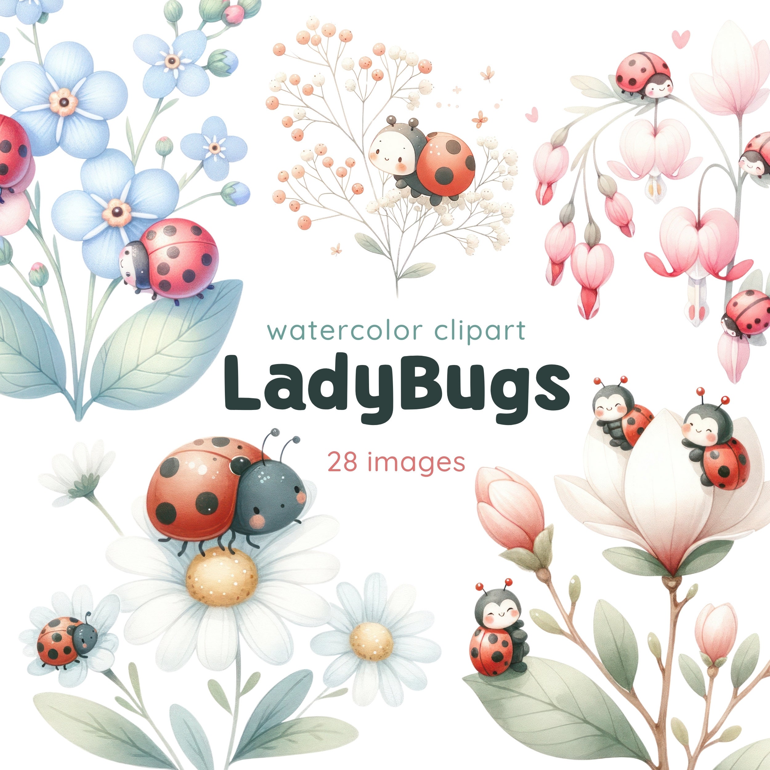 Ladybugs With Flowers Watercolor Clipart Set, Cute Ladybug and Flowers ...