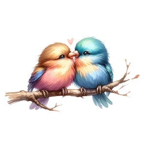 Love Birds Perched on a Branch Clipart, 10 High Quality Pngs, Valentine ...