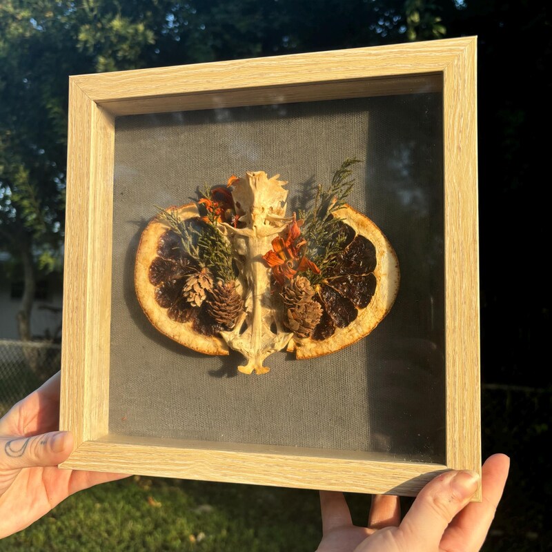 Fish Shadow Box - Etsy