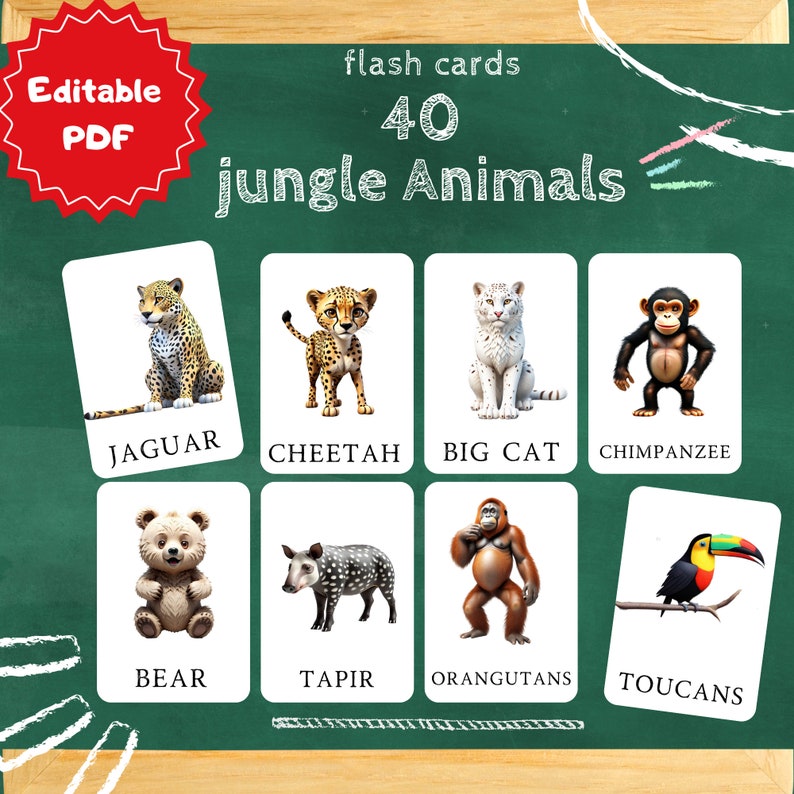 Jungle Animal, 40 Editable Montessori Cards, Animal Educational ...