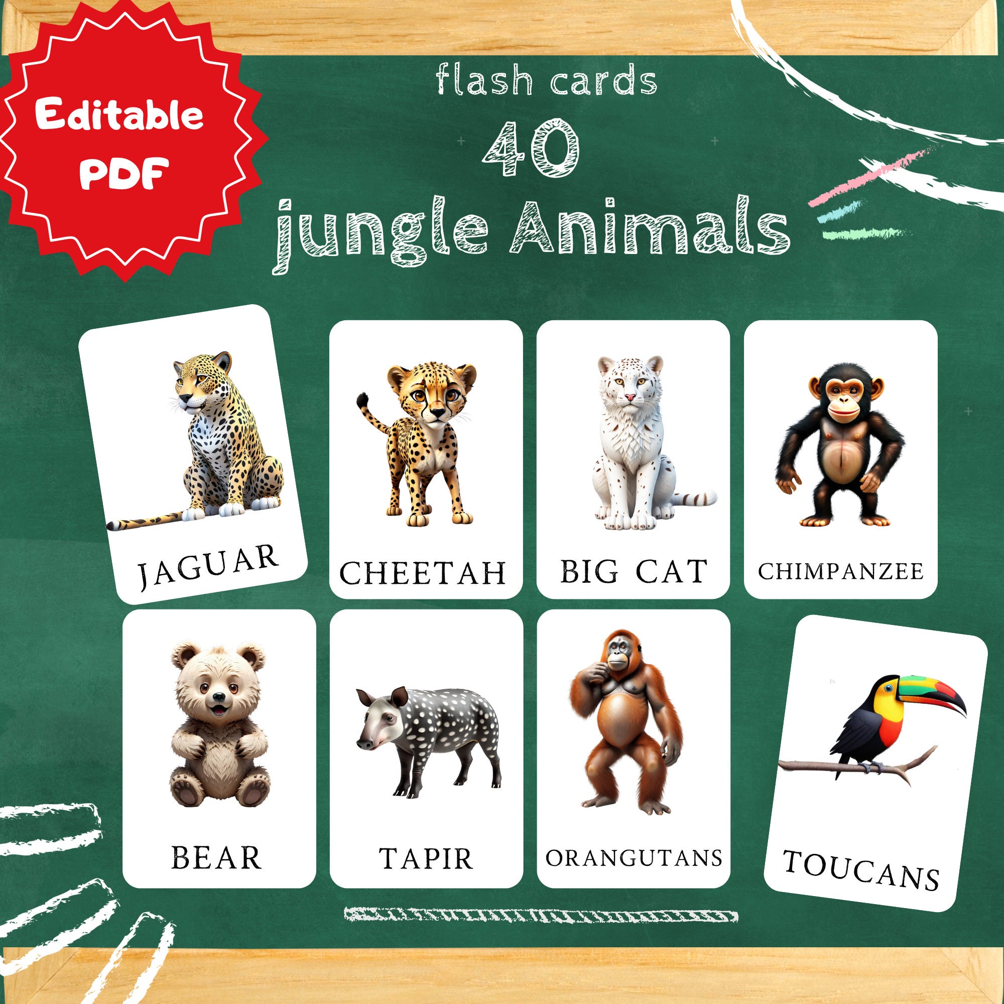 Jungle Animal, 40 Editable Montessori Cards, Animal Educational ...