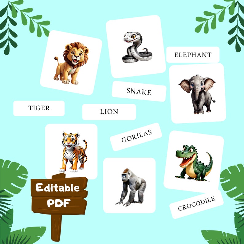 Jungle Animal, 40 Editable Montessori Cards, Animal Educational ...