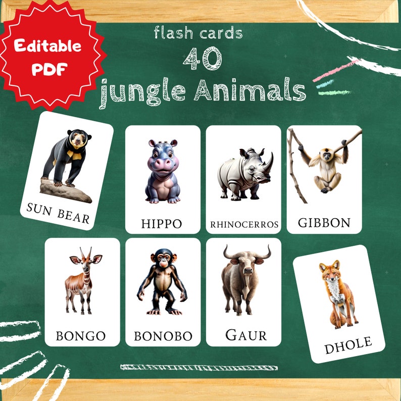 Jungle Animal, 40 Editable Montessori Cards, Animal Educational ...