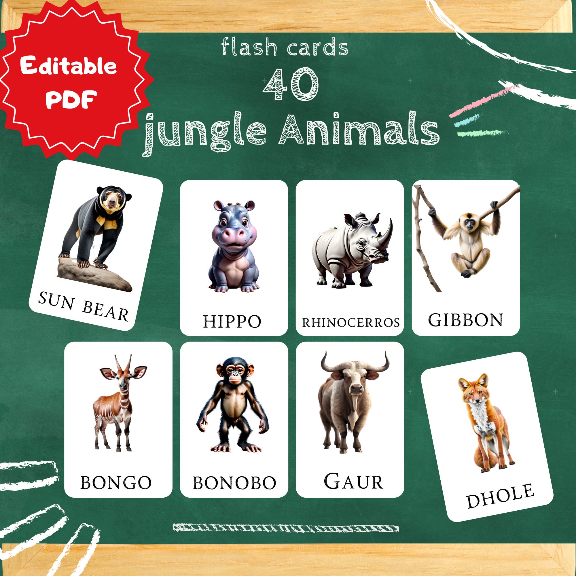 Jungle Animal, 40 Editable Montessori Cards, Animal Educational ...