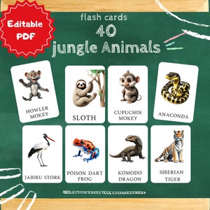 Jungle Animal, 40 Editable Montessori Cards, Animal Educational ...