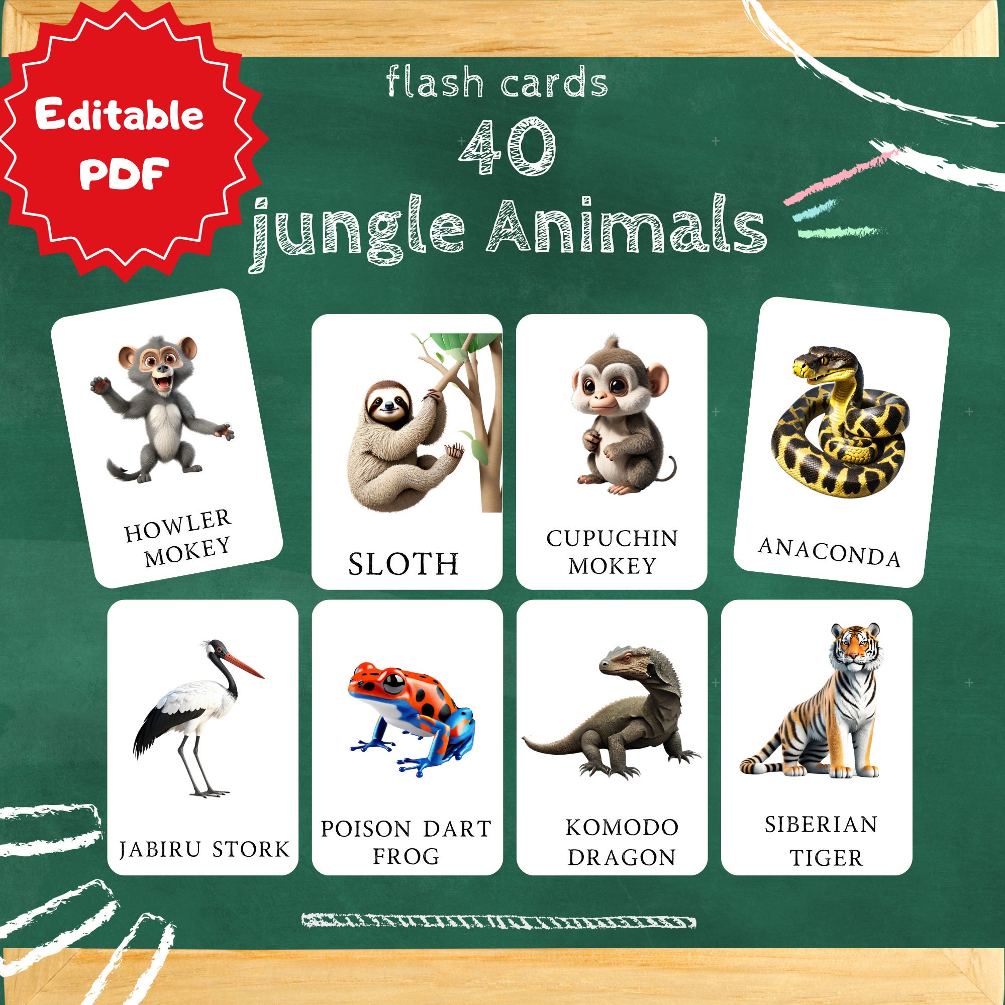 Jungle Animal, 40 Editable Montessori Cards, Animal Educational ...