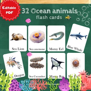 OCEAN Animals, 32 Editable Montessori Cards,preschool Toys Flashcard ...
