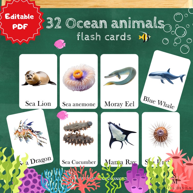 OCEAN Animals, 32 Editable Montessori Cards,preschool Toys Flashcard ...