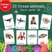 OCEAN Animals, 32 Editable Montessori Cards,preschool Toys Flashcard ...