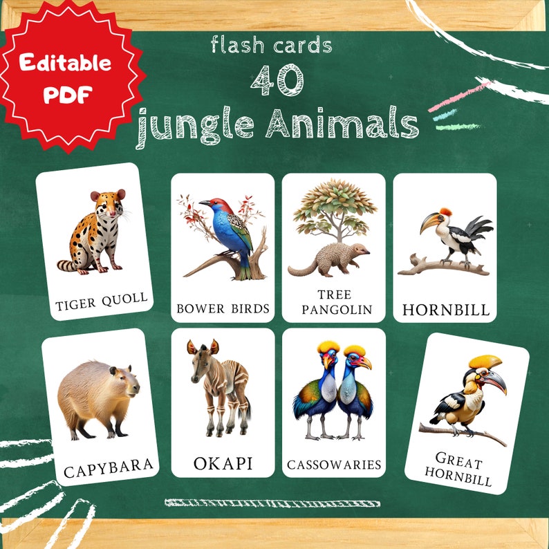 Jungle Animal, 40 Editable Montessori Cards, Animal Educational ...