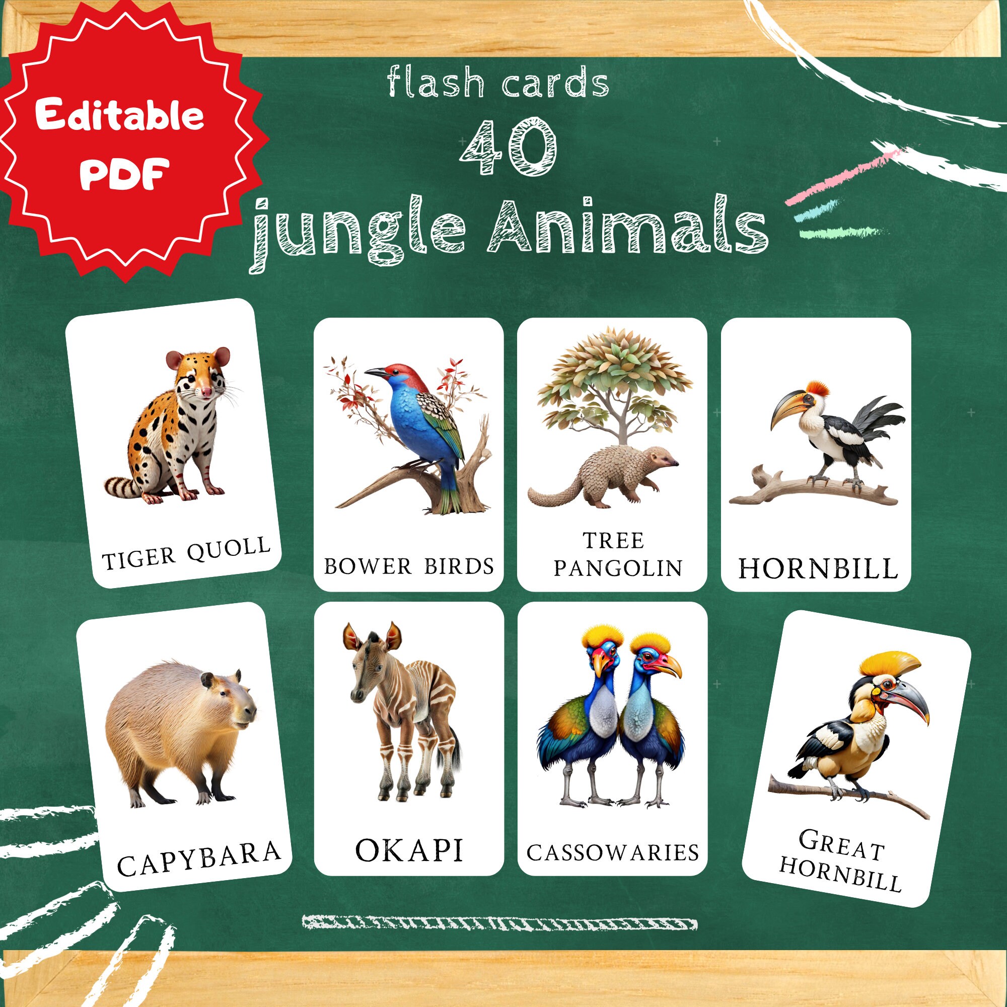 Jungle Animal, 40 Editable Montessori Cards, Animal Educational ...