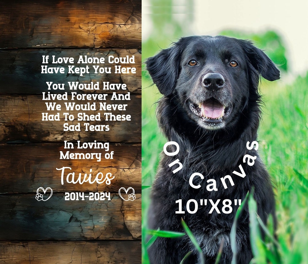 Custom Photo Pet Loss Canvas, Personalized 8