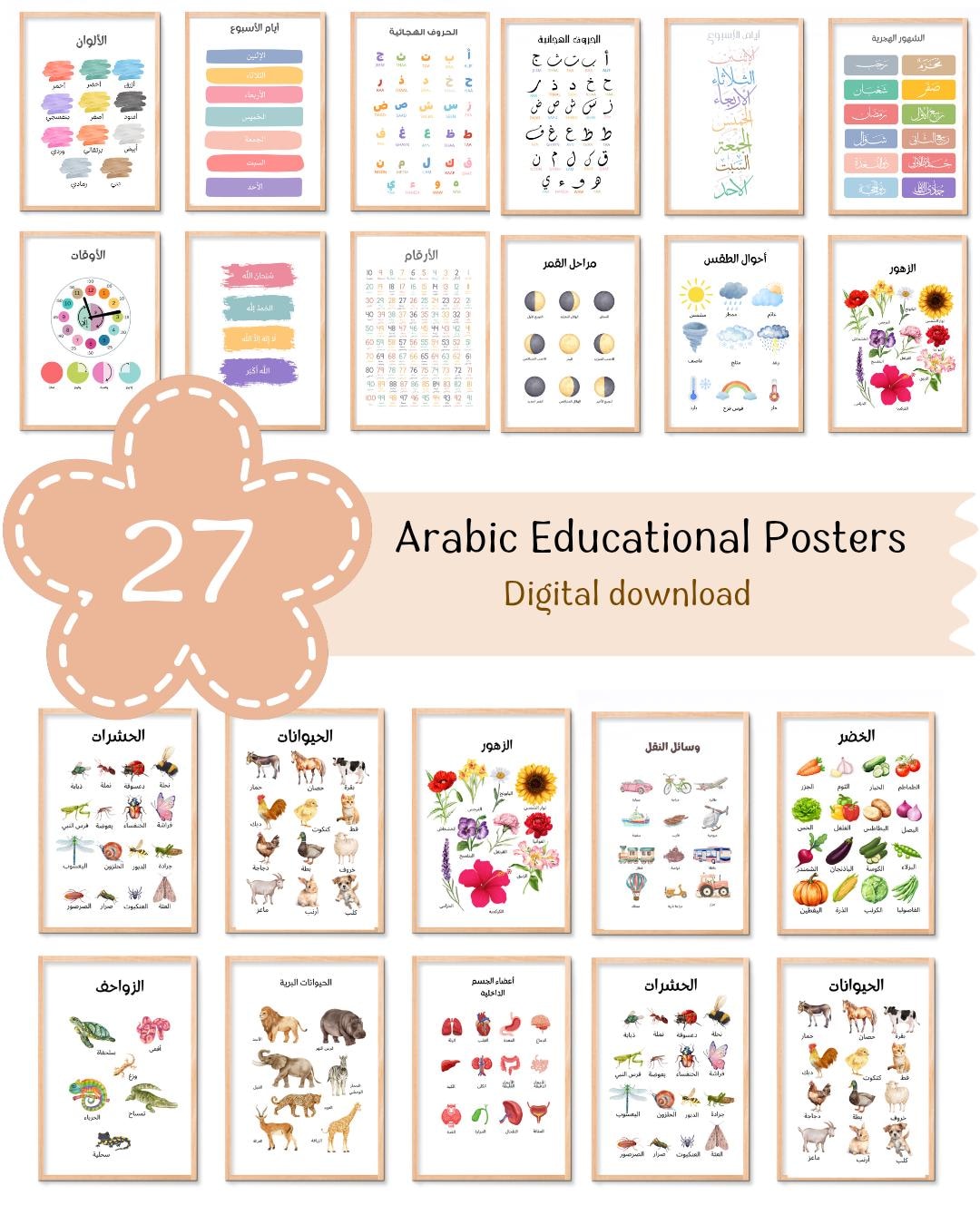 Arabic Educational Posters for Kids | Arabic Alphabet, Numbers, Days ...