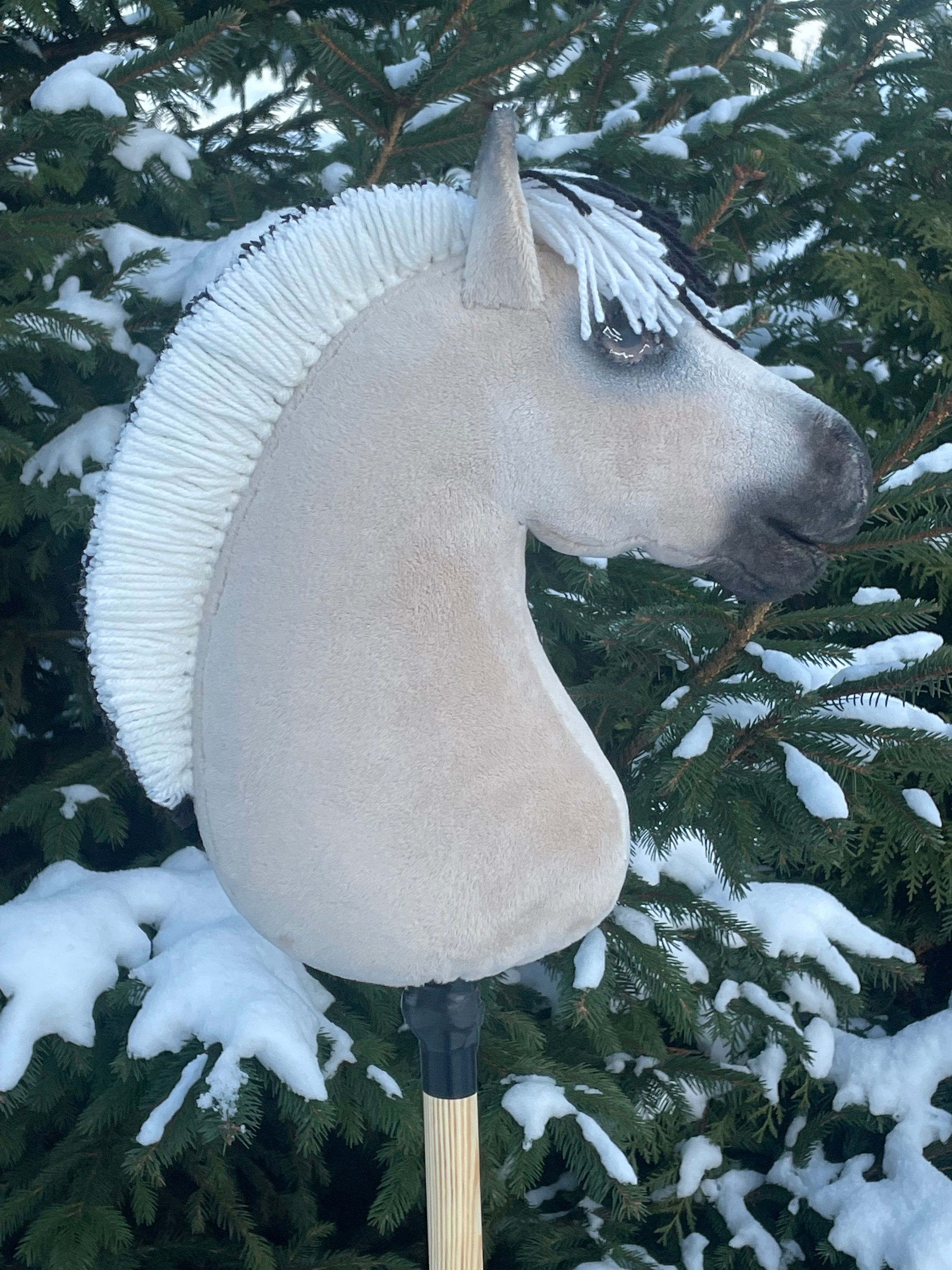 Realistic A4 Fjord Hobby Horse With a Stick Surprise - Etsy UK