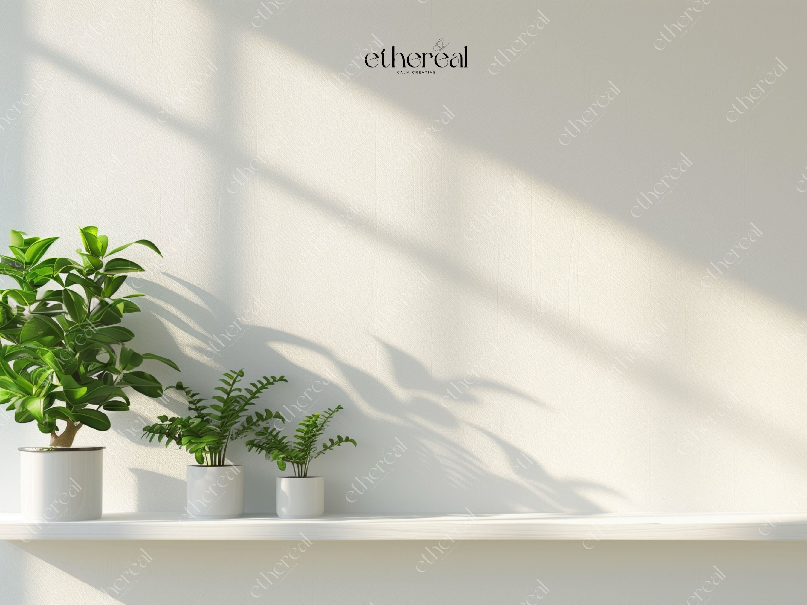 Simple Office Zoom Background Professional Virtual Backgrounds for ...