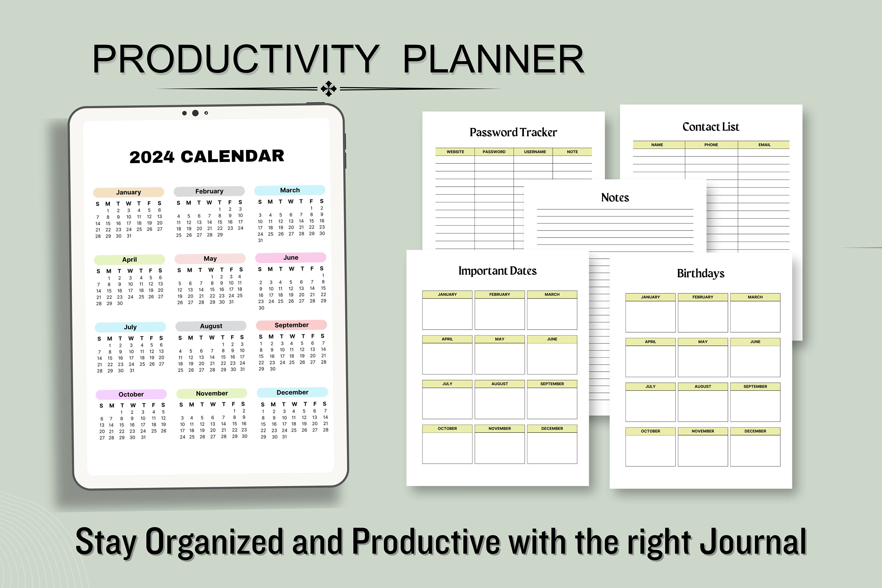 2024 Daily Planner, 2024 Daily Planner, Daily Digital Planner, Daily ...