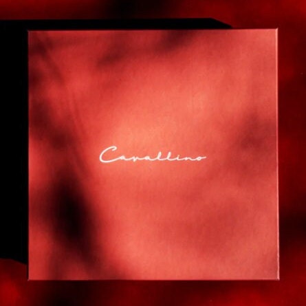 ORIGINAL FERRARI 2 Espresso Coffee Cups Porcelain Richard GINORI Made ...