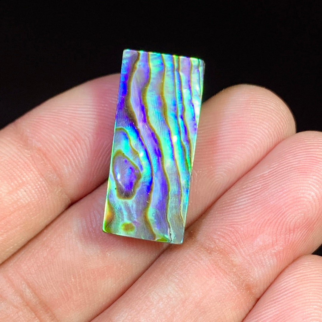 19.50 Ct, 100% Multi Abalone Shell, Fire Abalone Shell, Rainbow Abalone ...