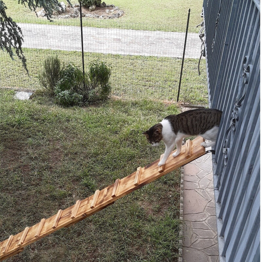 Cat Ladder Cat Stairs Cat Step Balcony Window Stairs Outside Outdoor ...