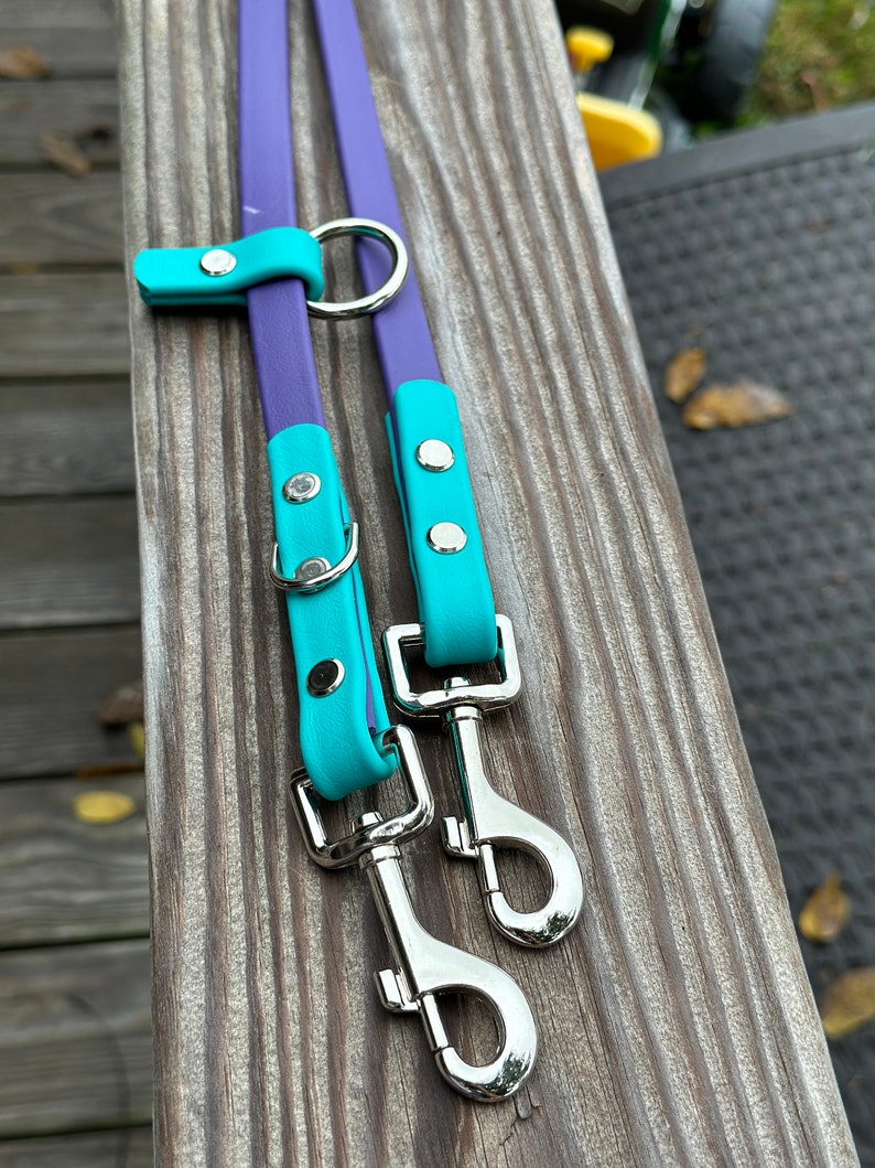 Custom Waterproof All-weather Biothane® Material Leash - Etsy