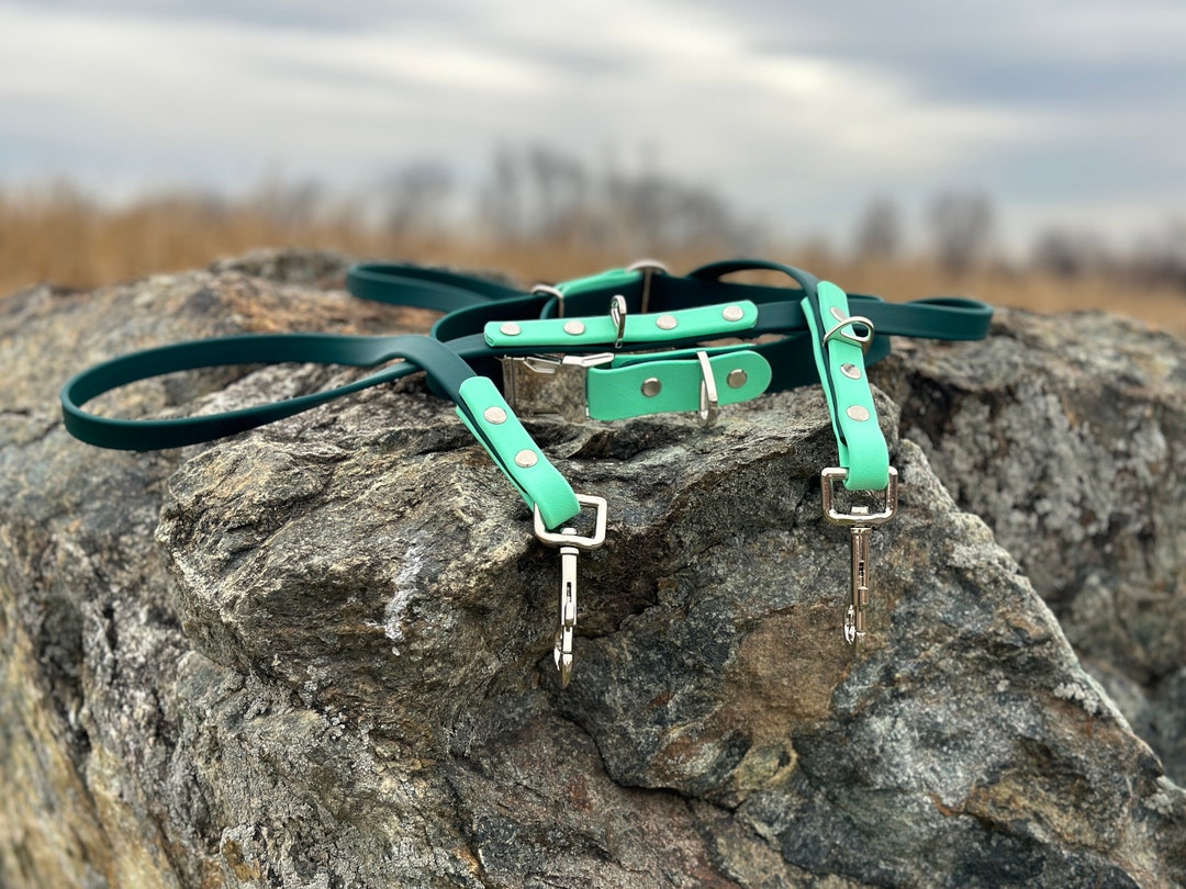 Custom All-weather Biothane® Material Dog Leash and Collar Set in ...