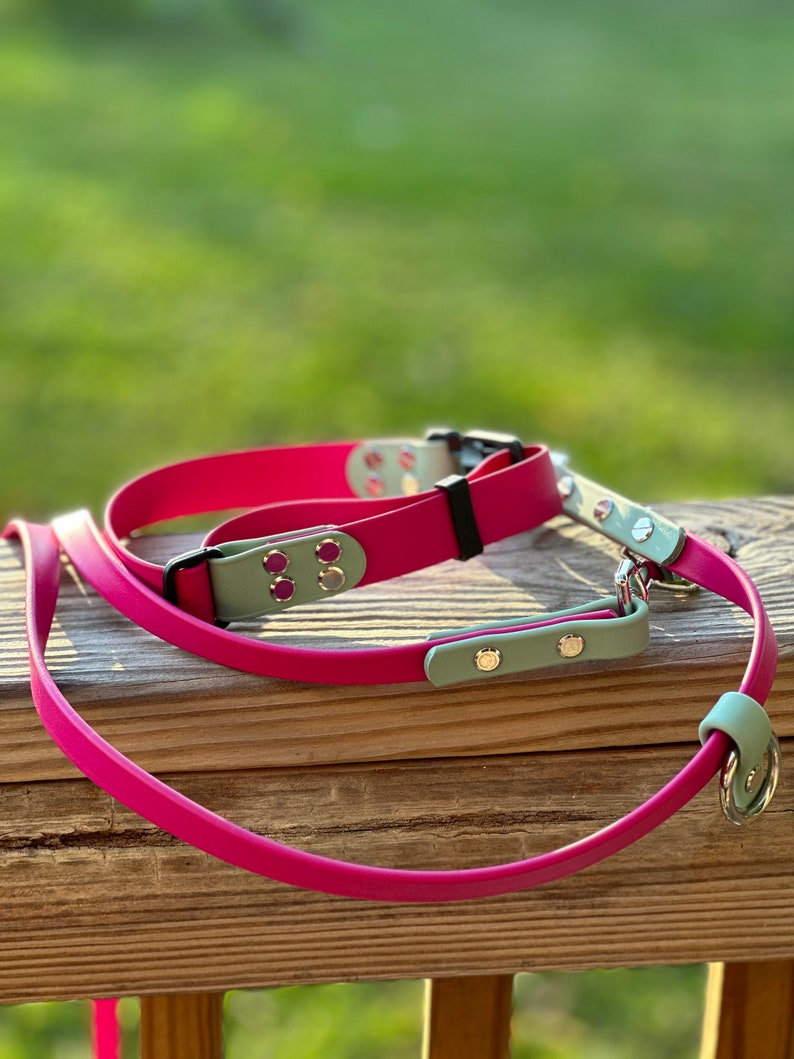 Custom Waterproof All-weather Biothane® Material Leash - Etsy