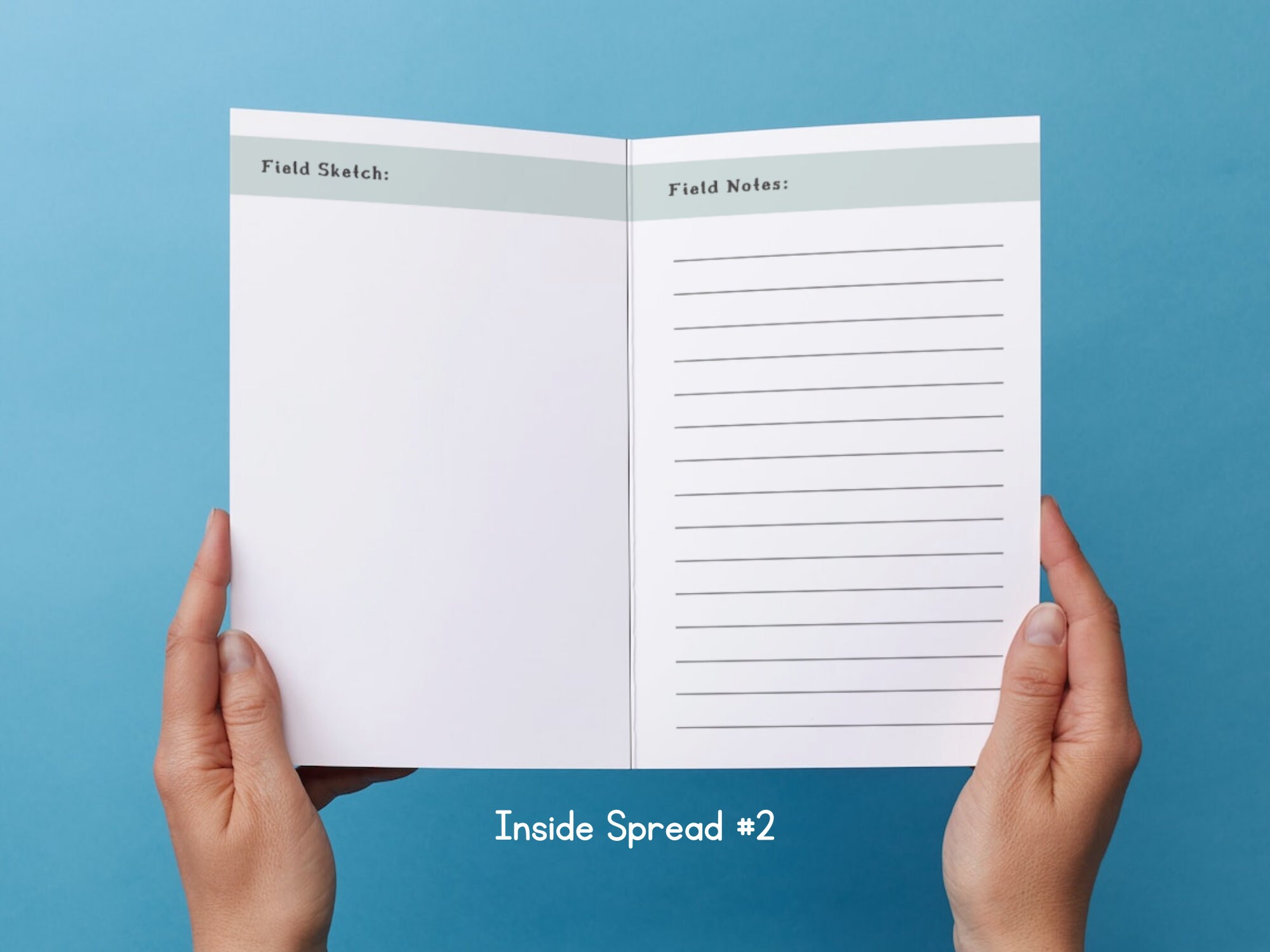 Printable Bird Watching Journal for Preschoolers - Educational Nature ...