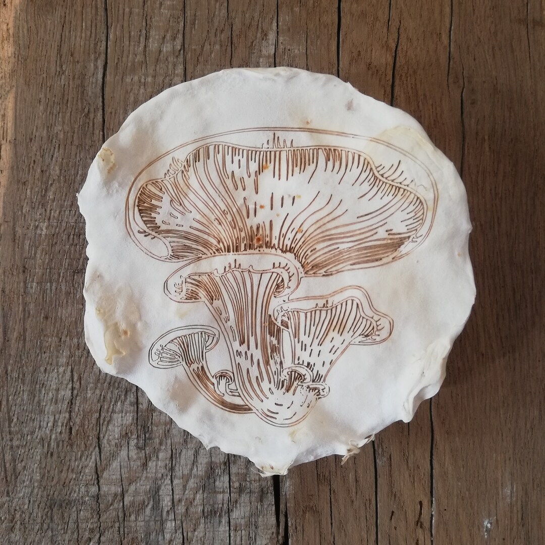 Wall Art Made From Mycelium Unique Wall Decor Sustainably - Etsy