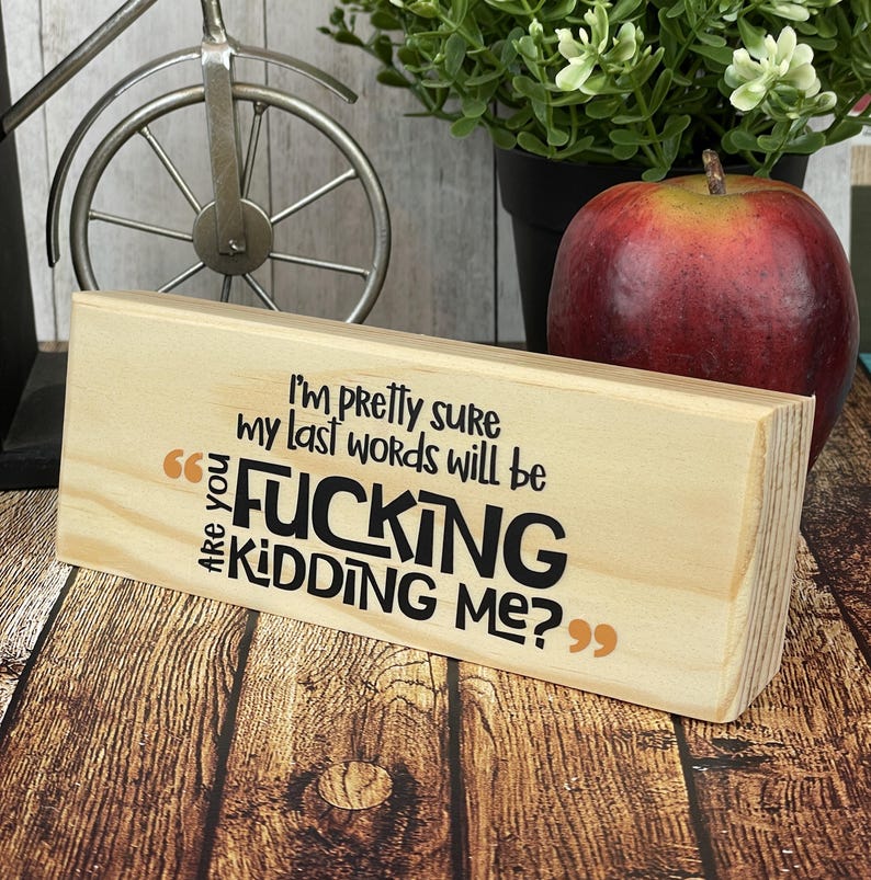 Funny Wood Desktop Block: "are You F*cking Kidding Me" Humor - Etsy