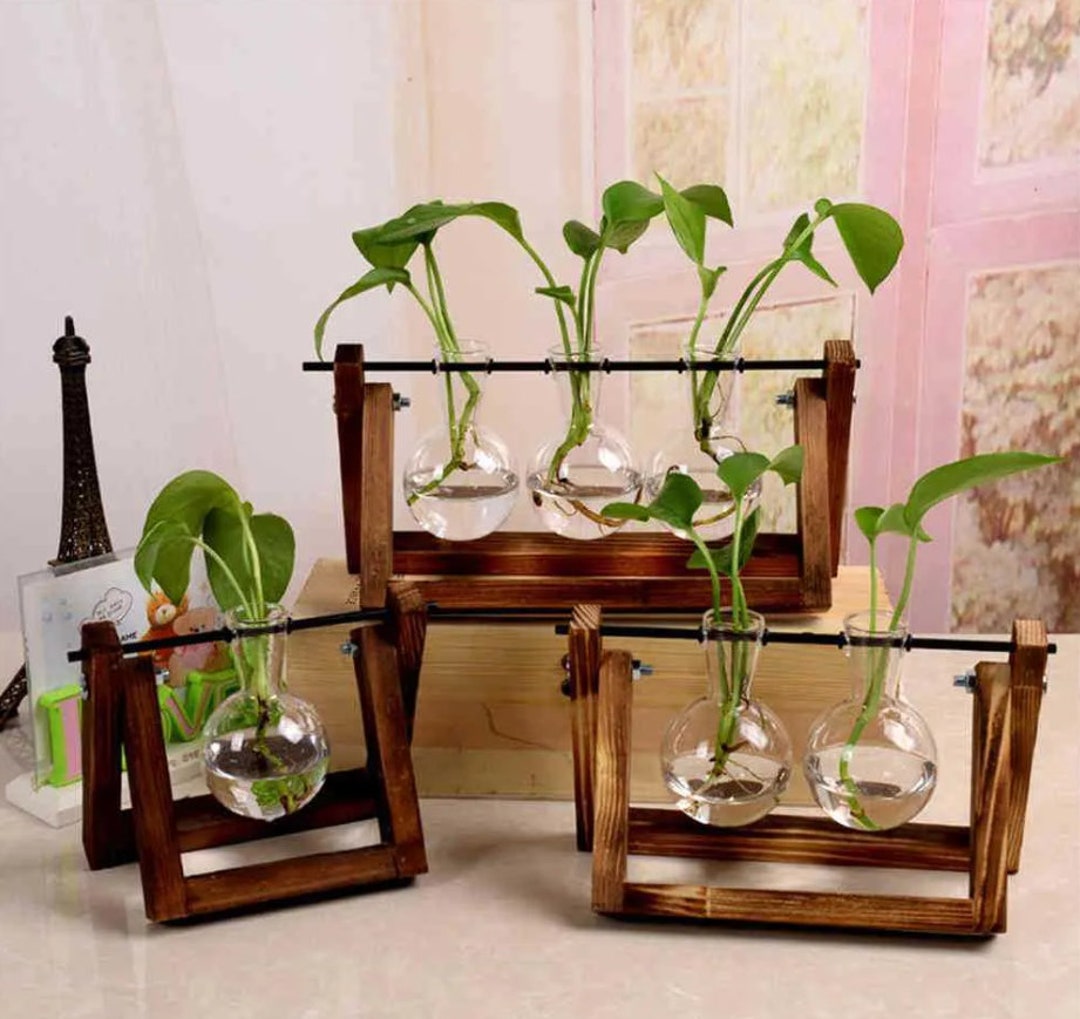 Planters Pots Glass Wood Planter Table Desktop Plant Flower - Etsy