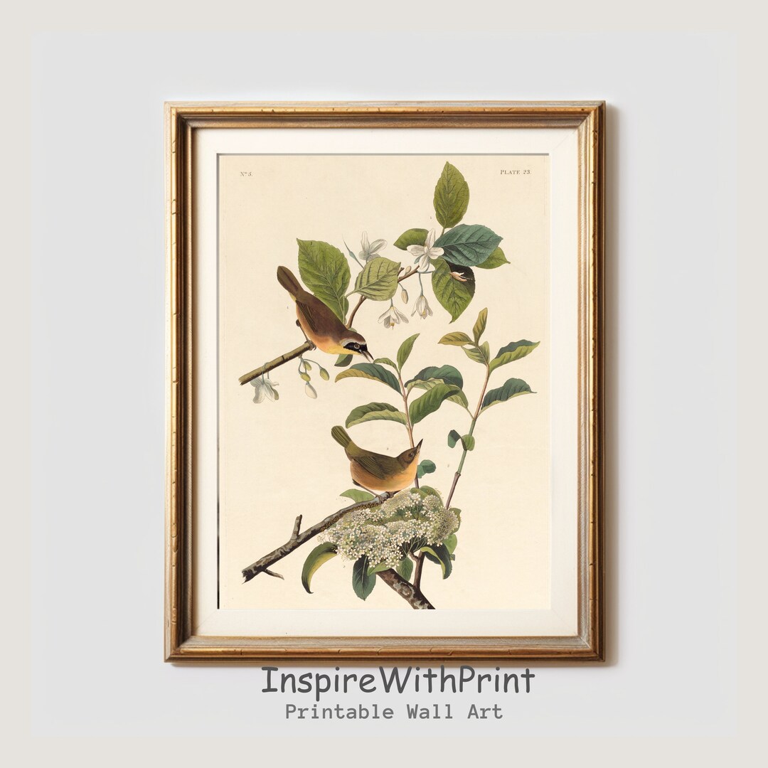 Vintage Birds and Botanical Wall Art, Digital Download Vintage Sparrow ...