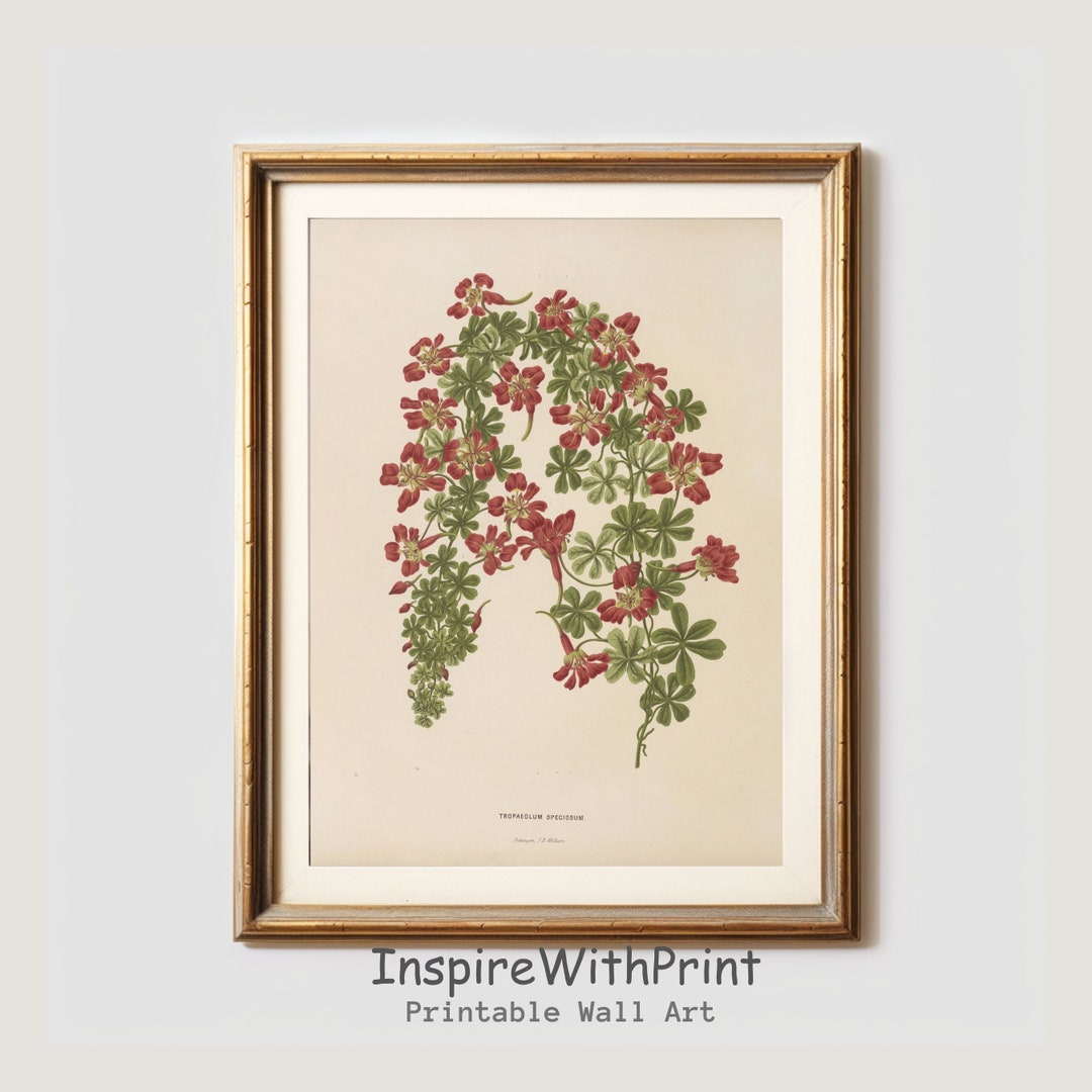 Vintage Flower Botanical Print, Printable Minimalist Botanical Art ...