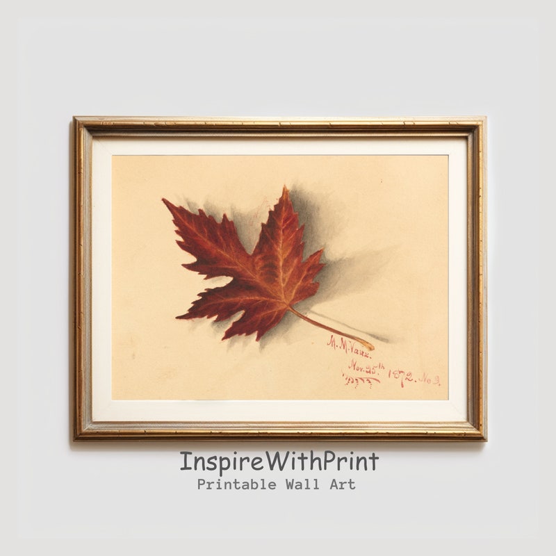 Maple Leaf Print - Etsy