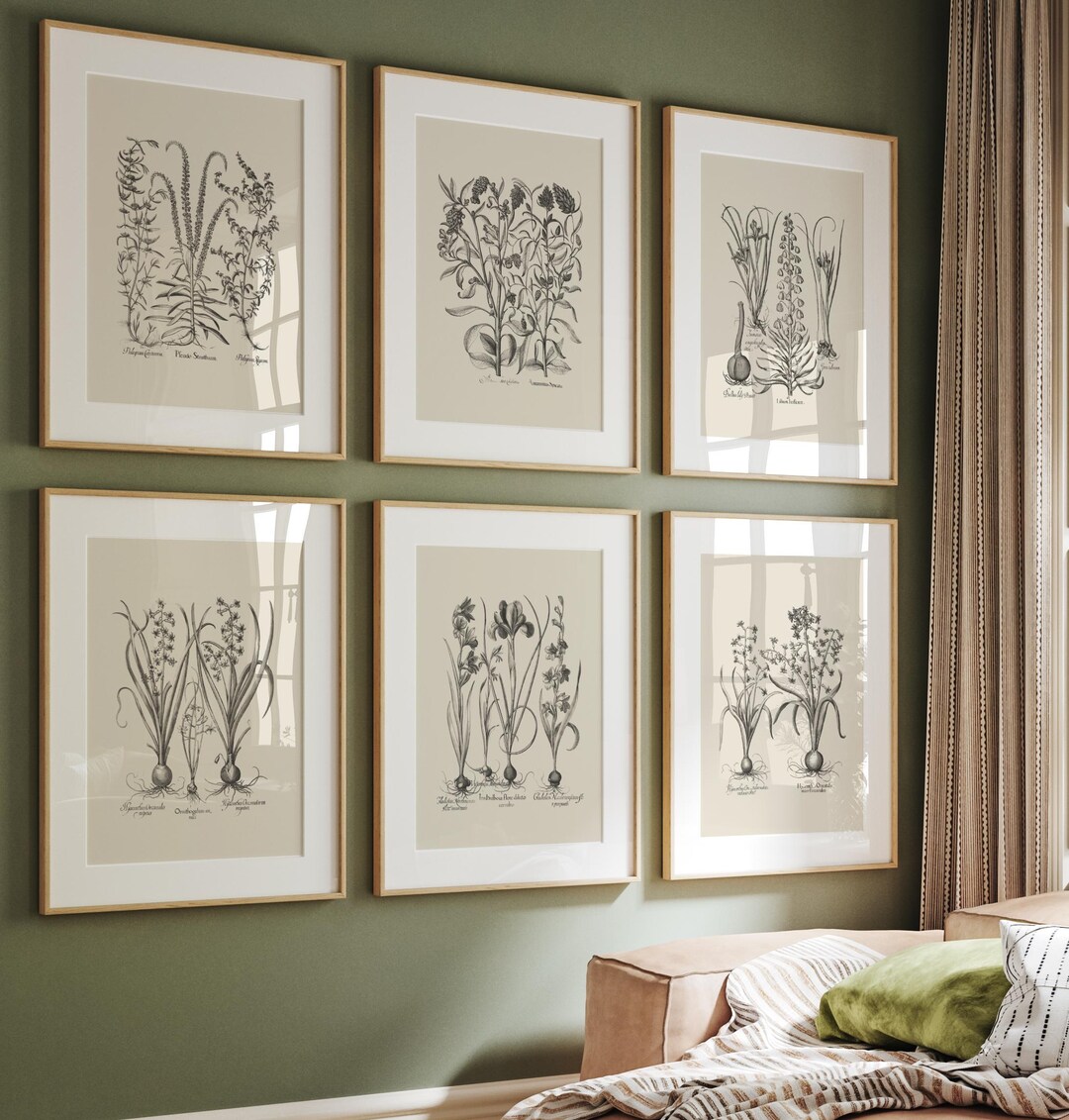 Floral Botanical Drawing Set of 6, Vintage Floral Sketch Art, Botanical ...