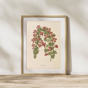 Vintage Flower Botanical Print, Printable Minimalist Botanical Art ...