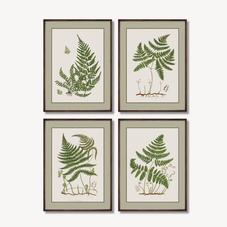 Vintage Fern Print, Vintage Botanical Gallery Wall Set Bundle of 20 ...