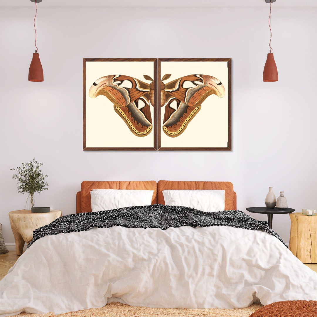 Vintage Butterfly Wing Wall Art Set of 2, Neutral Butterfly Print ...