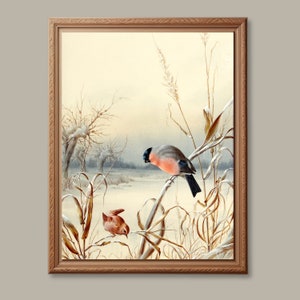 Vintage Winter Bird Prints Set of 3 Digital Download, Neutral Winter ...