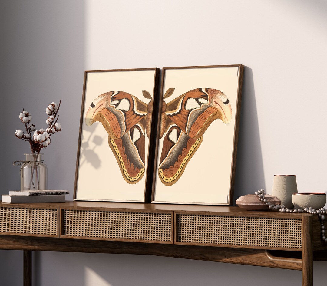 Vintage Butterfly Wing Wall Art Set of 2, Neutral Butterfly Print ...