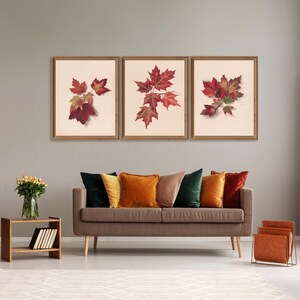 Vintage Fall Leaves Print, Maple Leaves Wall Art Set of 3, Botanical ...