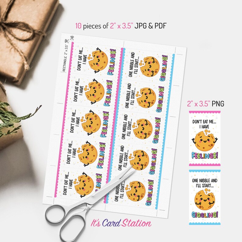 Funny Cookie Gift Tags – Pun Designs, Teacher & Birthday Treats ...