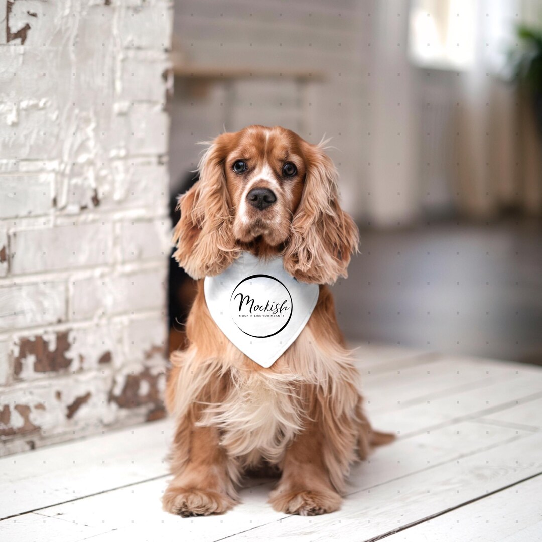 Cocker Spaniel Dog Bandana Mockup Product Mockup| Pet Bandana | Product ...