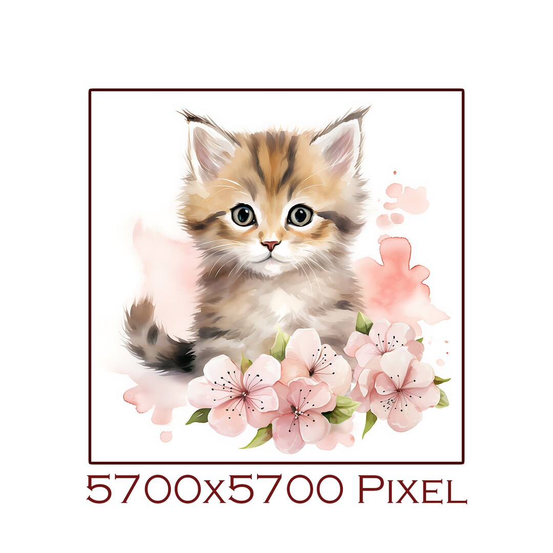 Digital Download of a Cat Kitten With Pink Cherry Blossoms in 1x1 ...