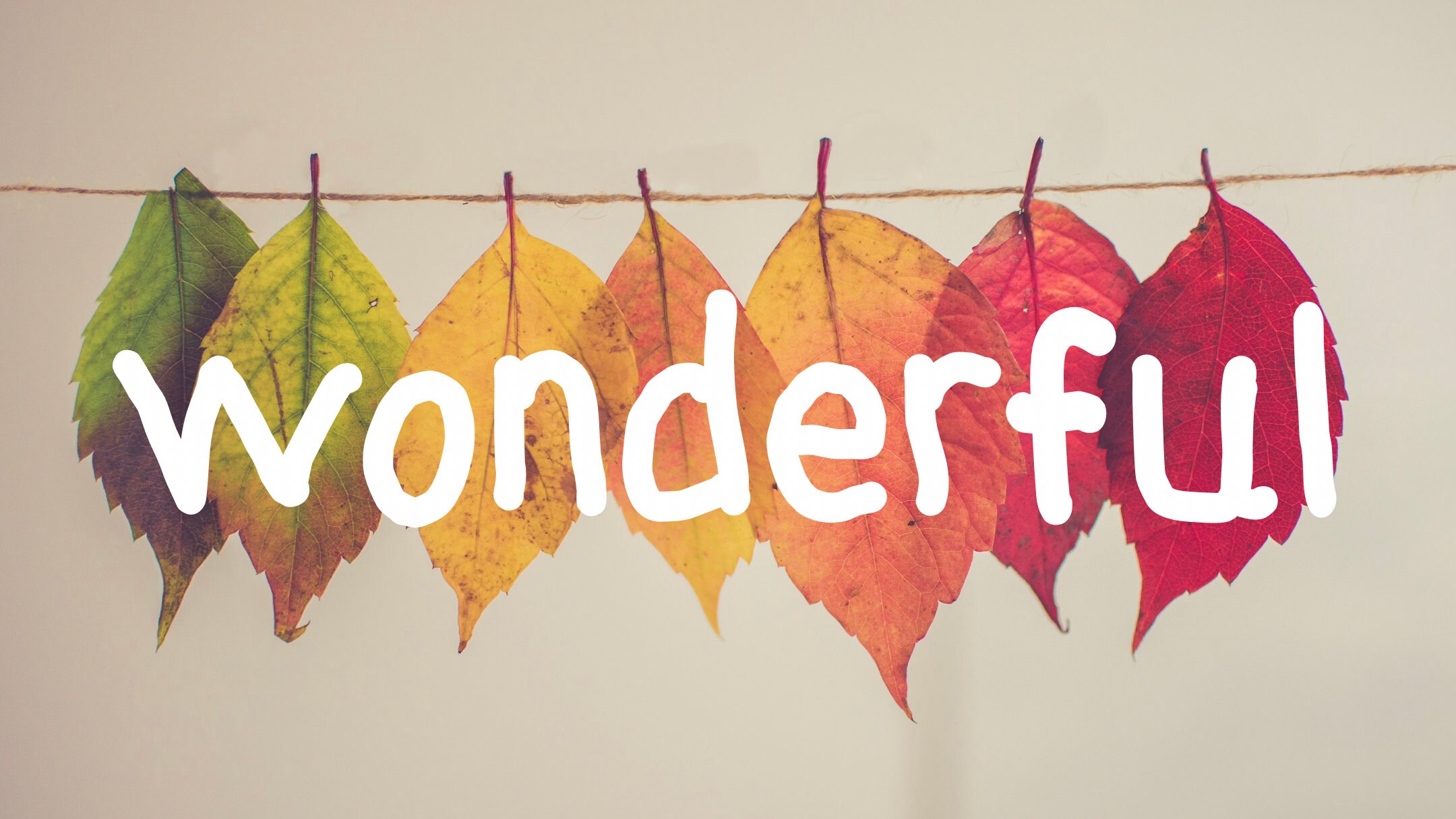 Waffle Fonts Handwriting font for Goodnotes Font for - Etsy